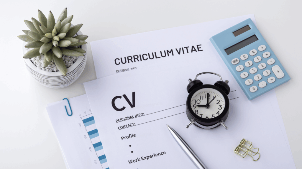 CV WRITING – Castor Management Services